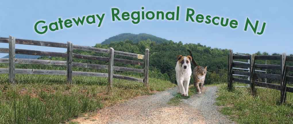 Gateway Regional Rescue NJ