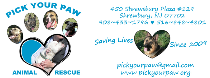 Pick Your Paw Animal Rescue
