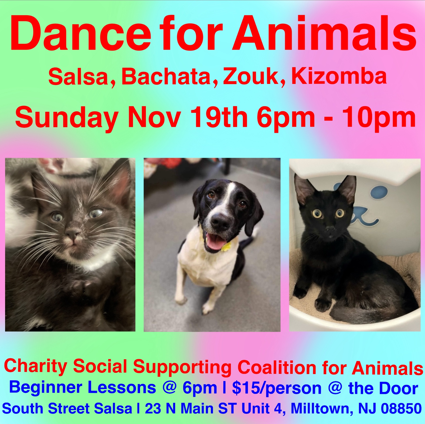 Come Dance for Animals!